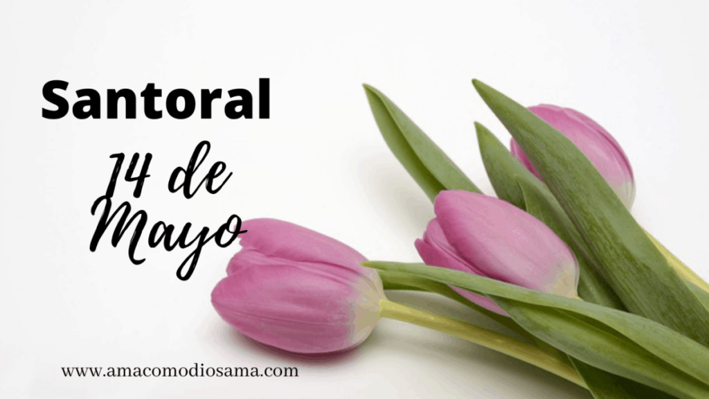 San Matías – Santo del día del 14 de Mayo – Ama Como Dios Ama